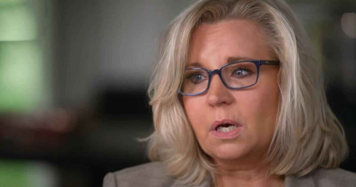 Liz Cheney spews warning for any lawyer who would dare investigate the ...