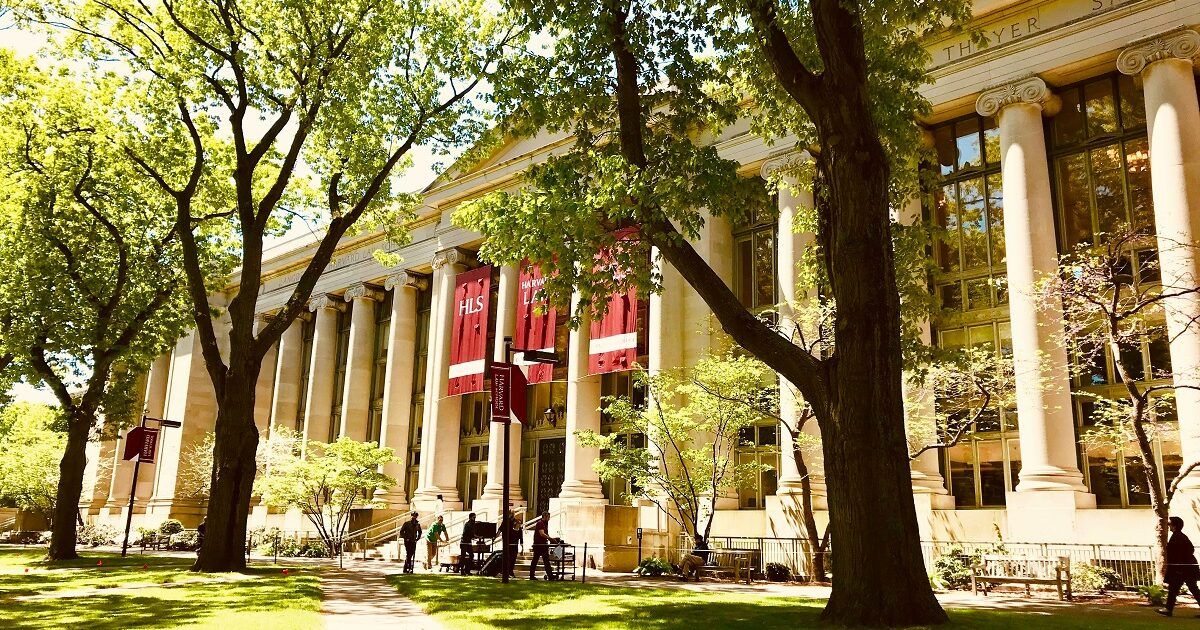 ‘What they deserve’: Harvard will lose its tax exempt status, Trump ...