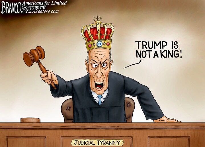BS daily political cartoons: self-crowned judges declare 'Trump is not ...