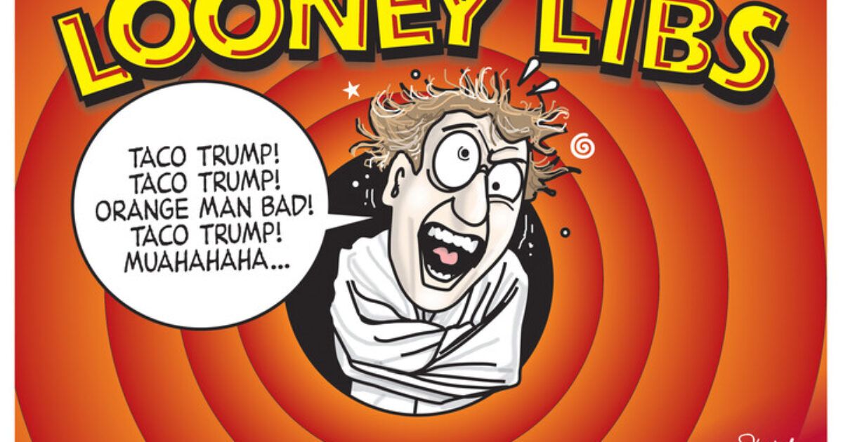 BS daily political cartoons: Looney Libs - The Daily Bo Snerdley