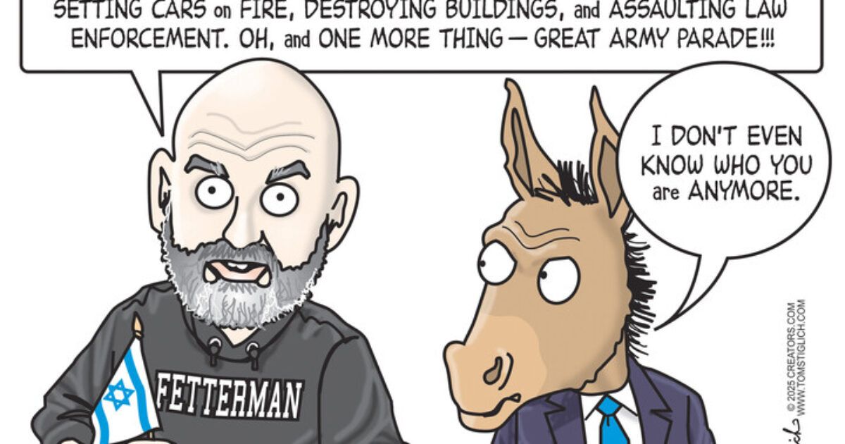 BS daily political cartoons: And now for a brief bipartisan moment ...