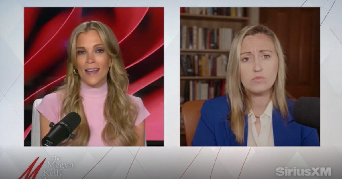 Megyn Kelly guest spells out ‘most difficult’ factor for Americans on ...