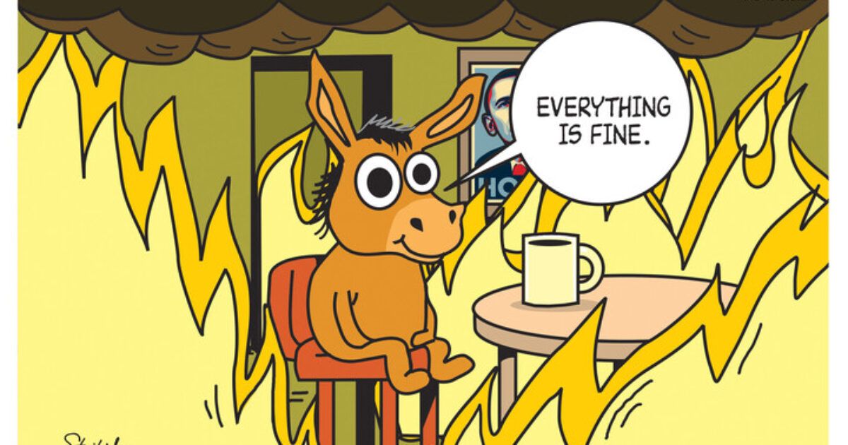 BS daily political cartoons: Everything is fine... - The Daily Bo Snerdley