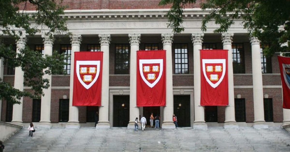 Harvard slashes admissions seats despite massive endowment gains ...