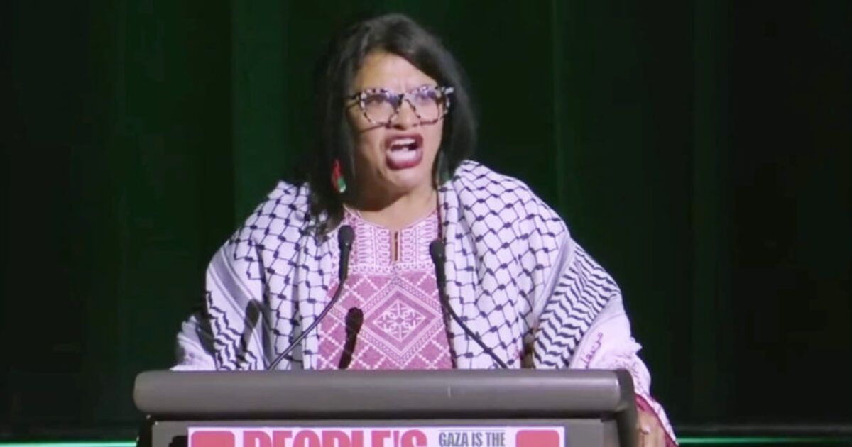 WATCH: Profane Rashida Tlaib rant targets Israel backers in wild ...