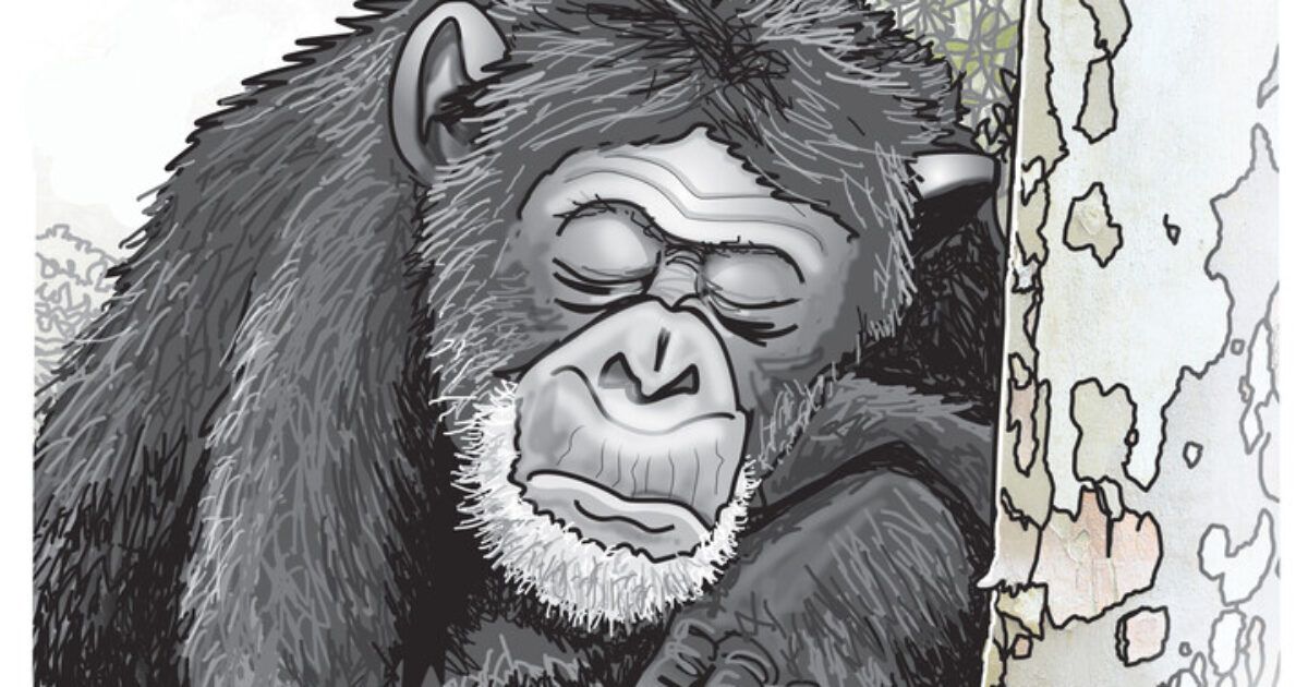 BS political cartoons of the week: Rest in peace, Jane Goodall - The ...