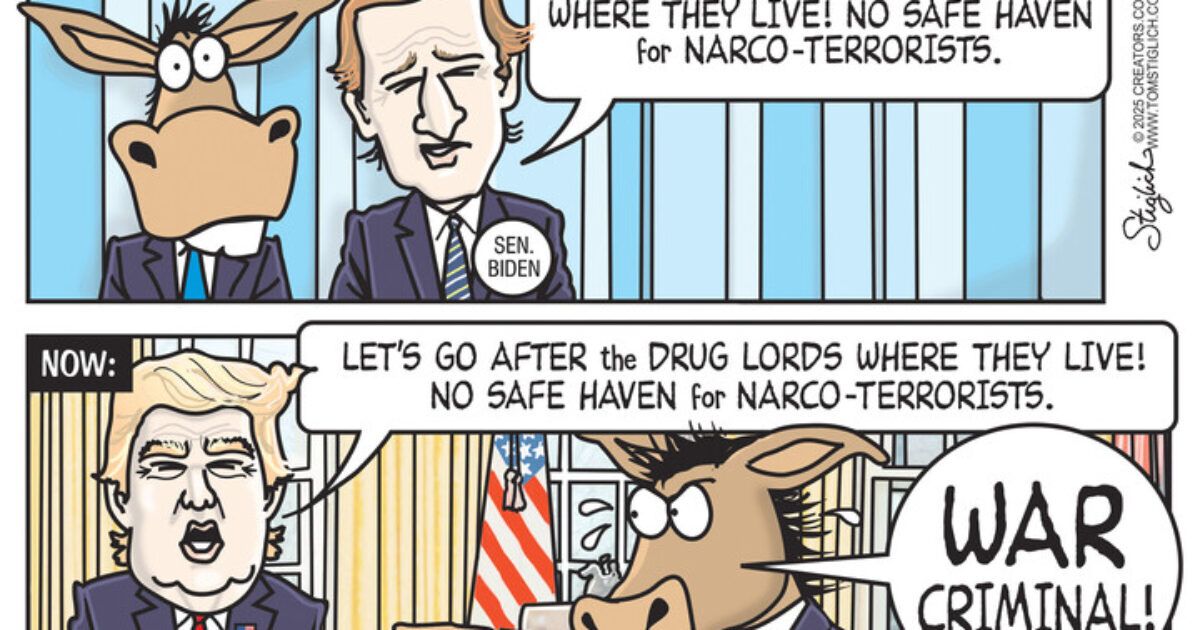 BS political cartoons of the week: If it weren't for double standards ...
