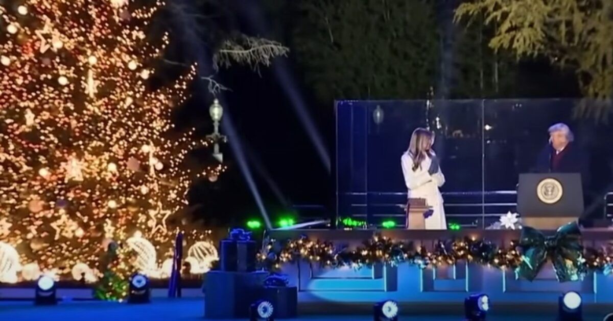 Trump and Melania light the National Christmas Tree at star-studded ...