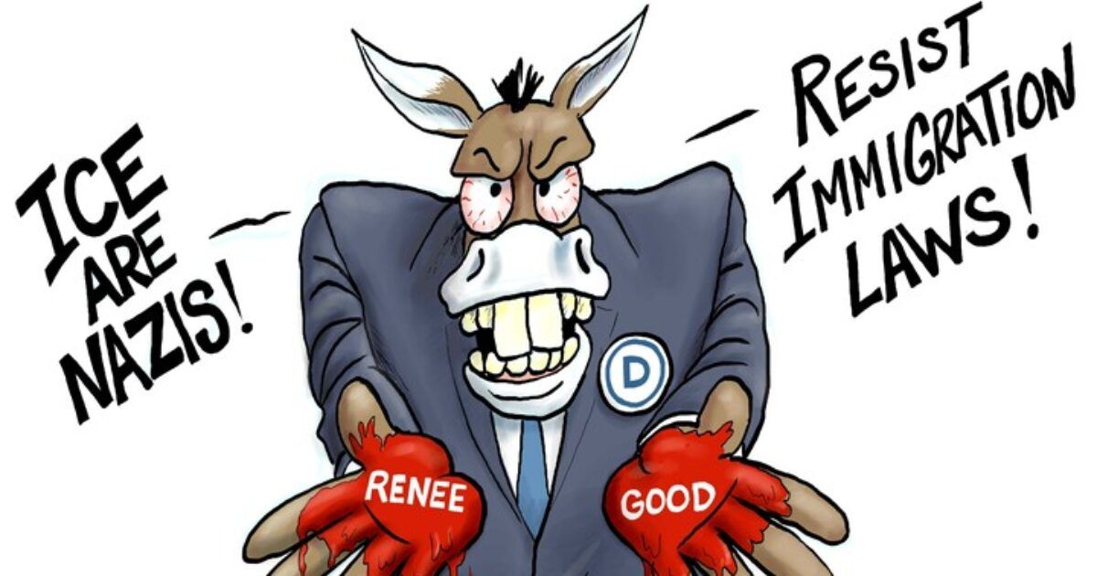 BS cartoons of the week: Let no crisis go to waste - The Daily Bo Snerdley