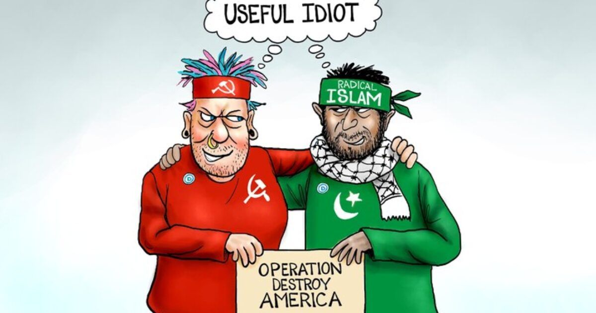 BS daily political cartoons: Operation destroy America - The Daily Bo ...