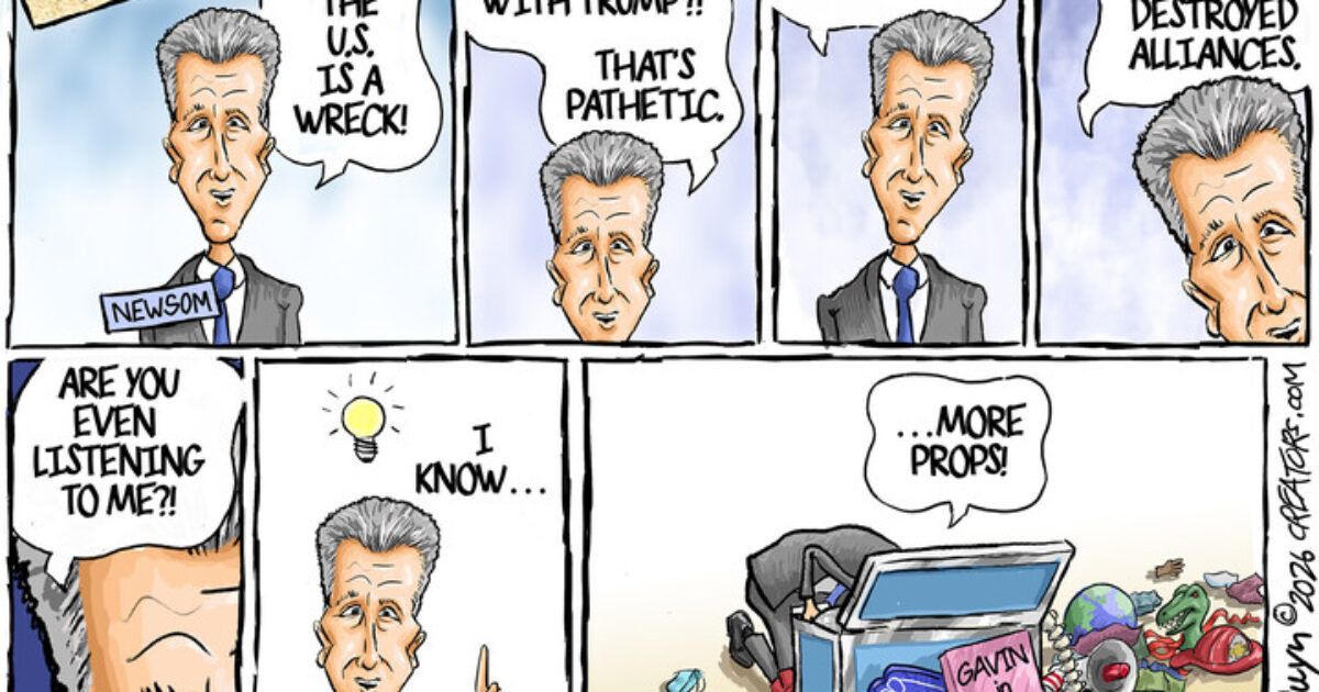 BS daily political cartoons: An election is like a box of chocolates ...