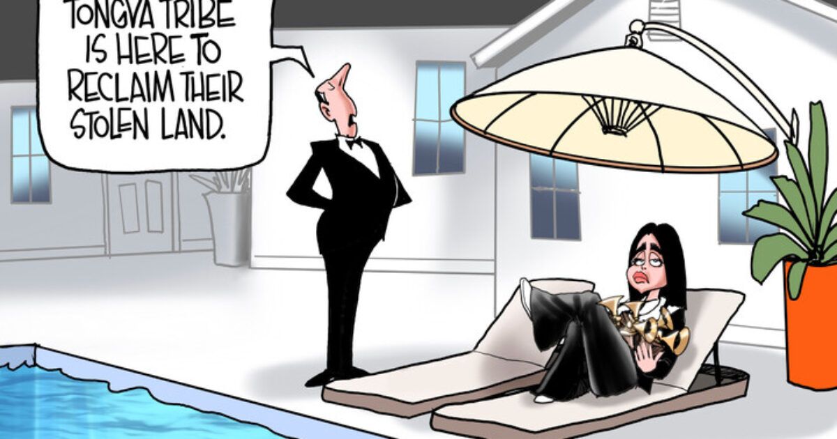 BS daily political cartoons: WaPo's new slogan - The Daily Bo Snerdley