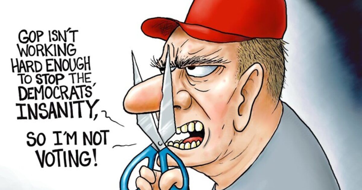 BS daily political cartoons: So, I'm not voting - The Daily Bo Snerdley