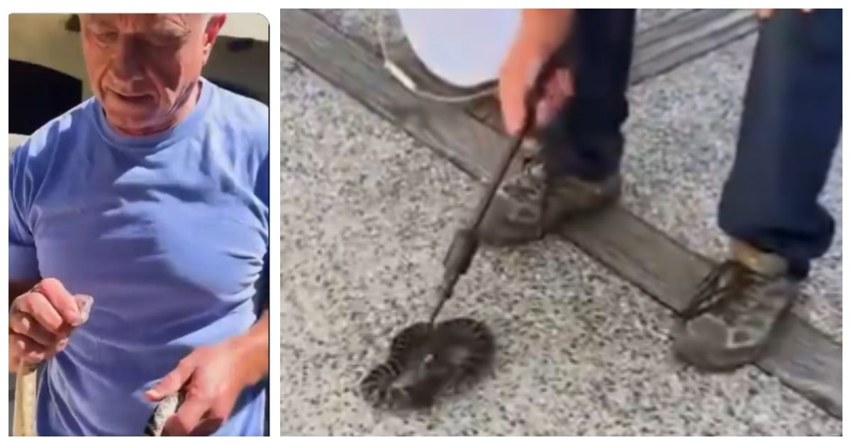 RFK Jr. doubles down with rattlesnake stunt after critics hiss over ...